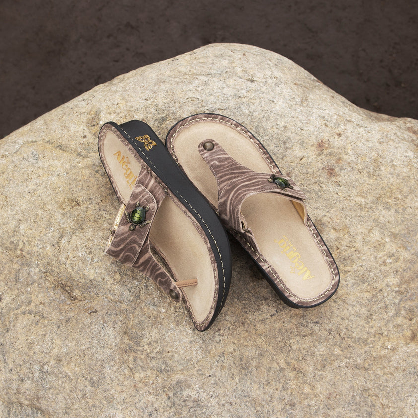 Carina Sea Turtle Sandal - Alegria Shoes