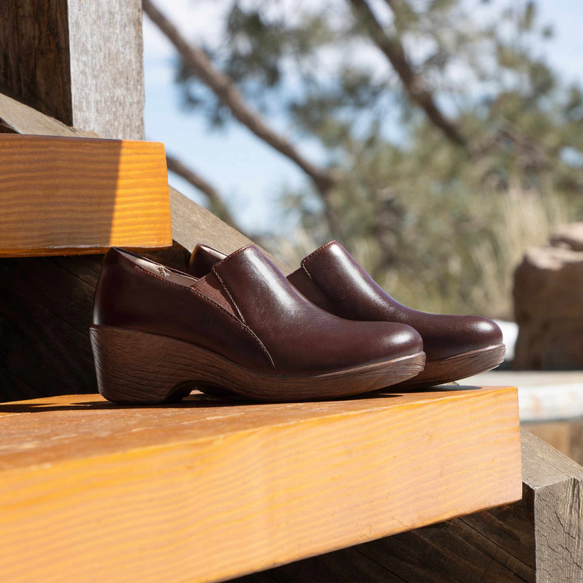Skylar Mahogany Shoe - Alegria Shoes